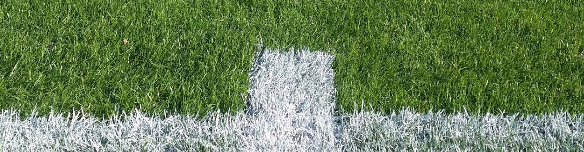 Sportsfield Turf Grass for Professional Fields | Barenbrug