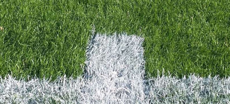 Sportsfield - PDF | Barenbrug