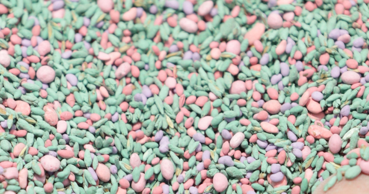 Seed Enhancement and Coating Technology for Better Yields | Barenbrug